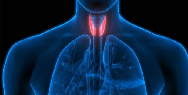 Hipotiroidismo | Descubra tipos, sintomas e tratamentos